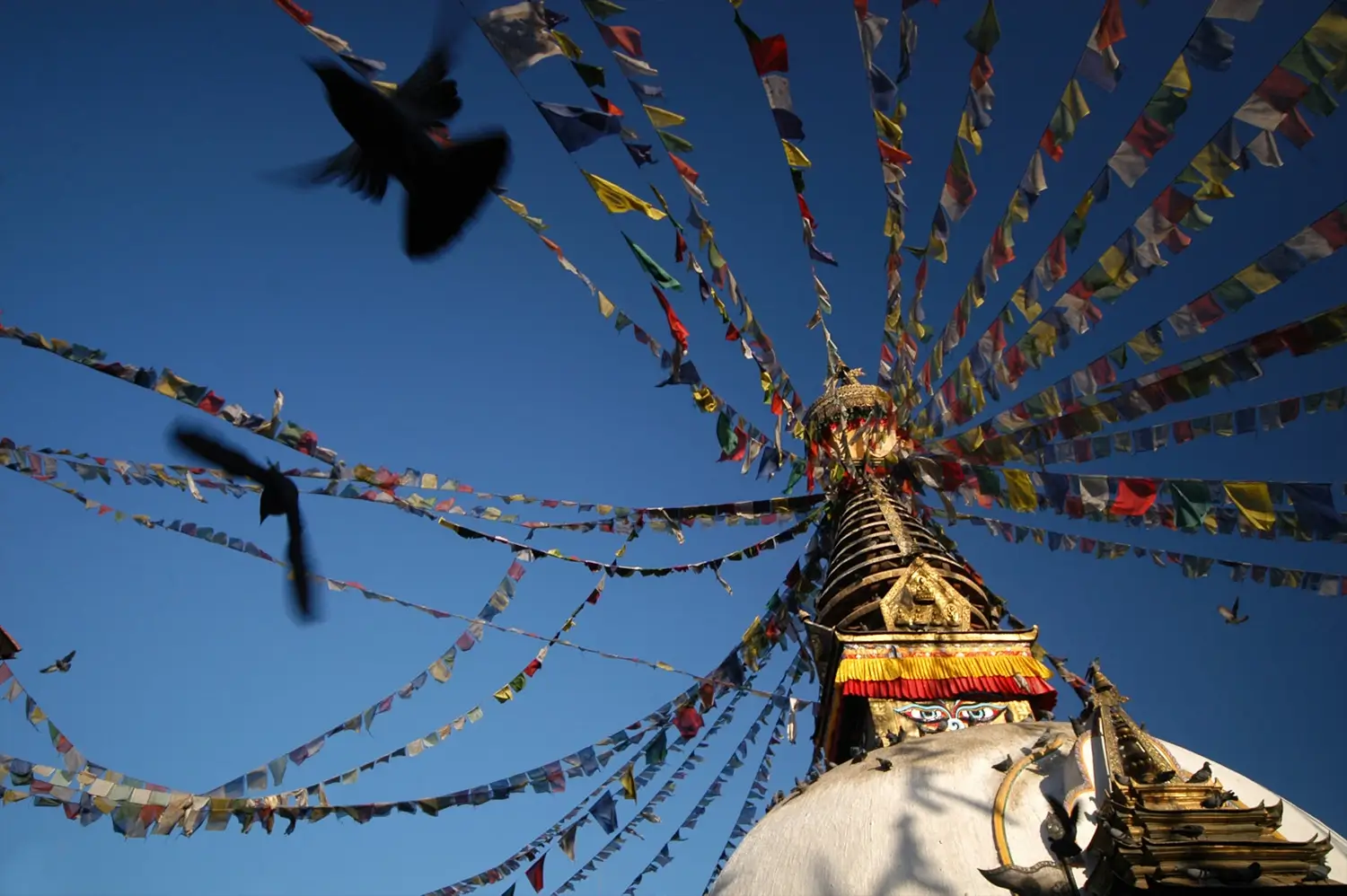 Nepal | Advertising photographer with art direction | Zinq Studio